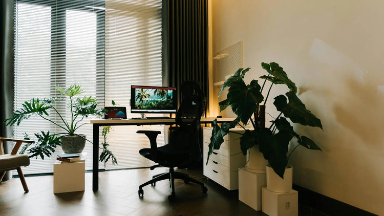 Common House Plants for Beginners: 8 Plants You’ll Love - Leaf Culture