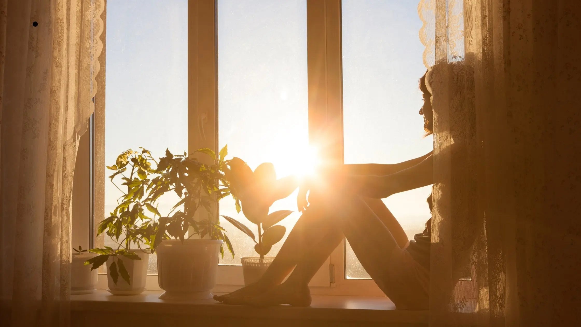 The 8 Best Houseplants for Reducing Stress - Leaf Culture